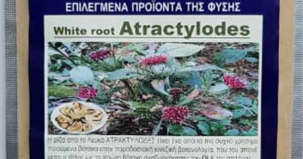 ATRACTYLODES Organic